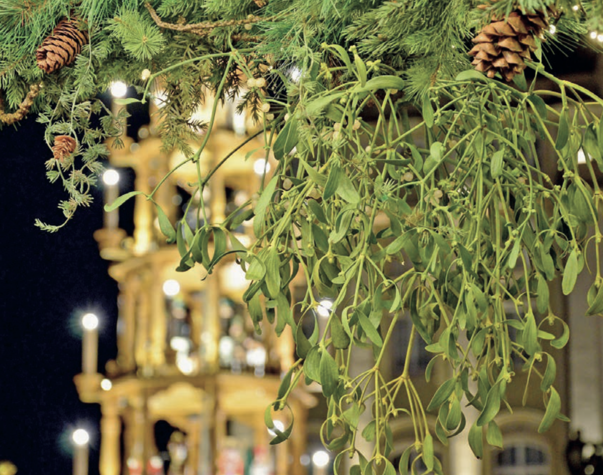 Gymnasium Biel-Seeland